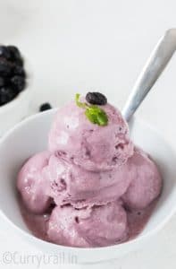 5-Minutes Blueberry Frozen Yogurt - CurryTrail