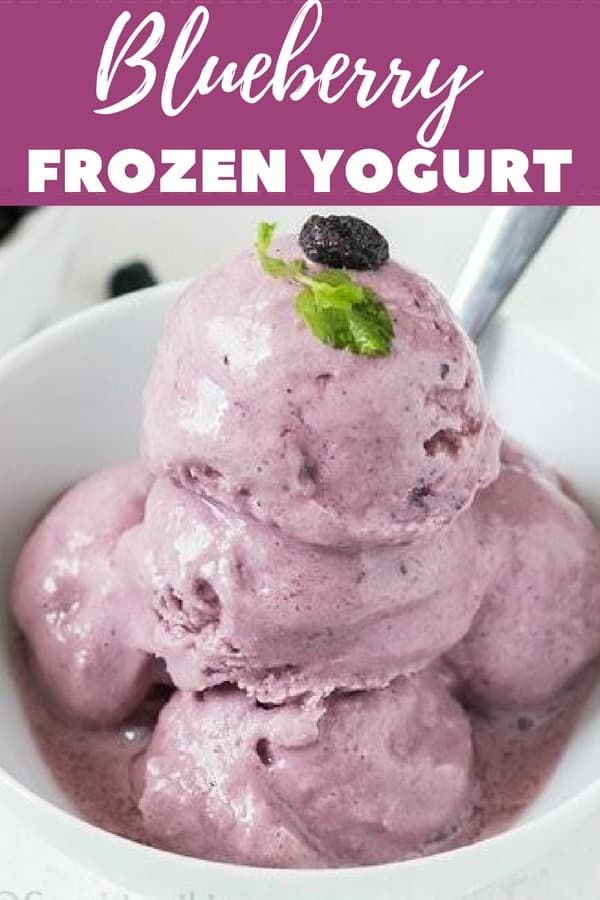 5-Minutes Blueberry Frozen Yogurt - CurryTrail