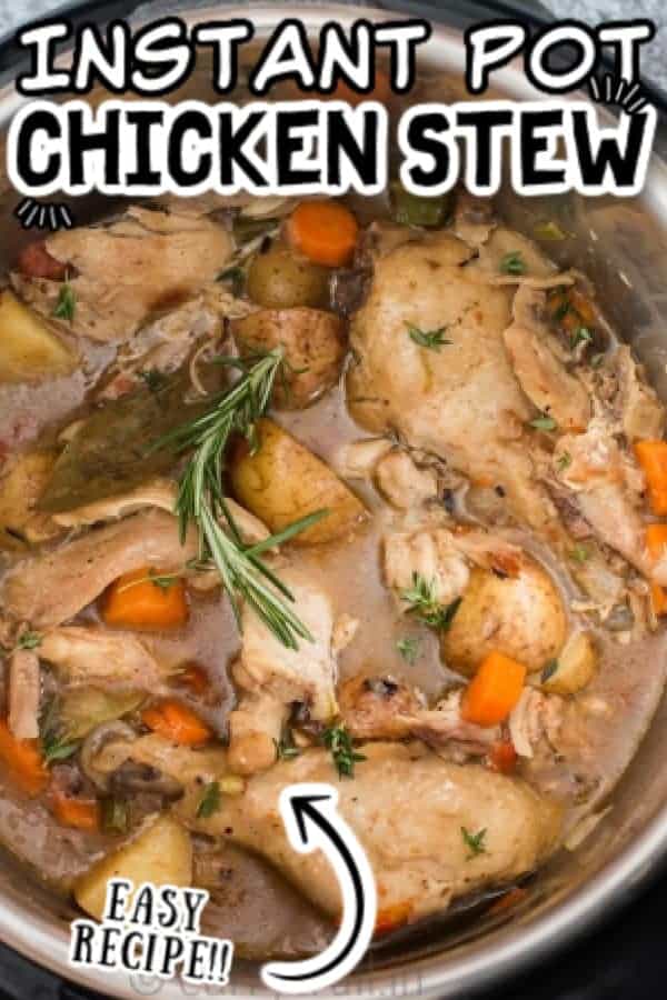 Instant Pot Chicken Stew - CurryTrail