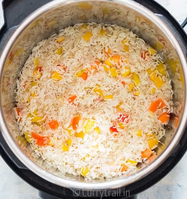 Spicy Cajun Instant Pot Chicken and Rice (Video) - CurryTrail