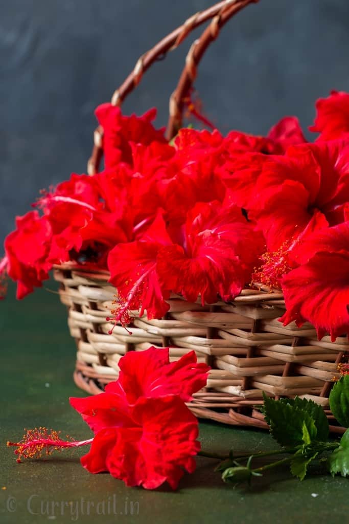 Hibiscus Tea (Agua de Jamaica) - Health Benefits and Risks - CurryTrail