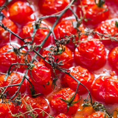 Oven-Roasted Cherry Tomatoes Recipe - Curry Trail