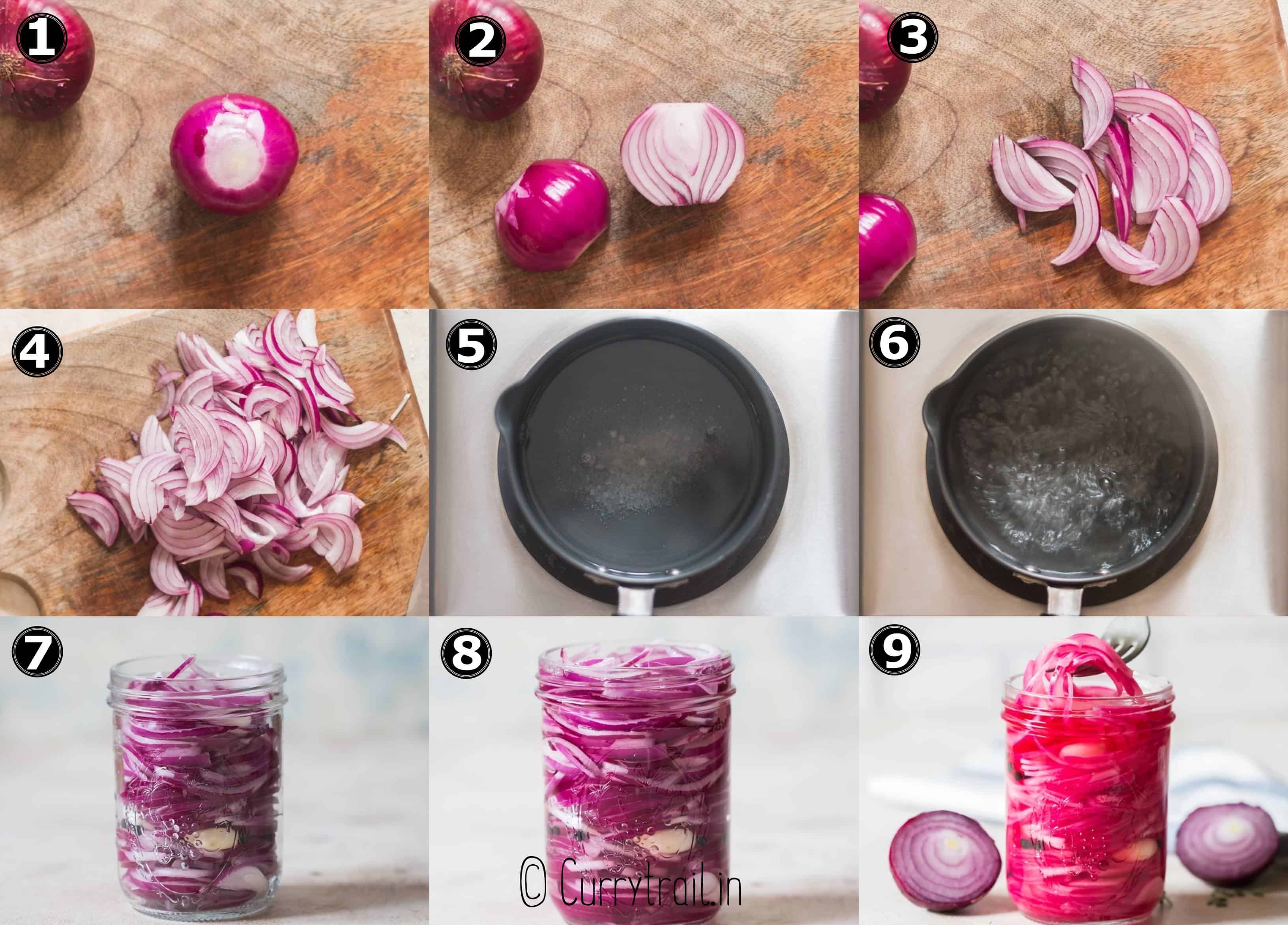 Easy Refrigerator Pickled Red Onions - Curry Trail