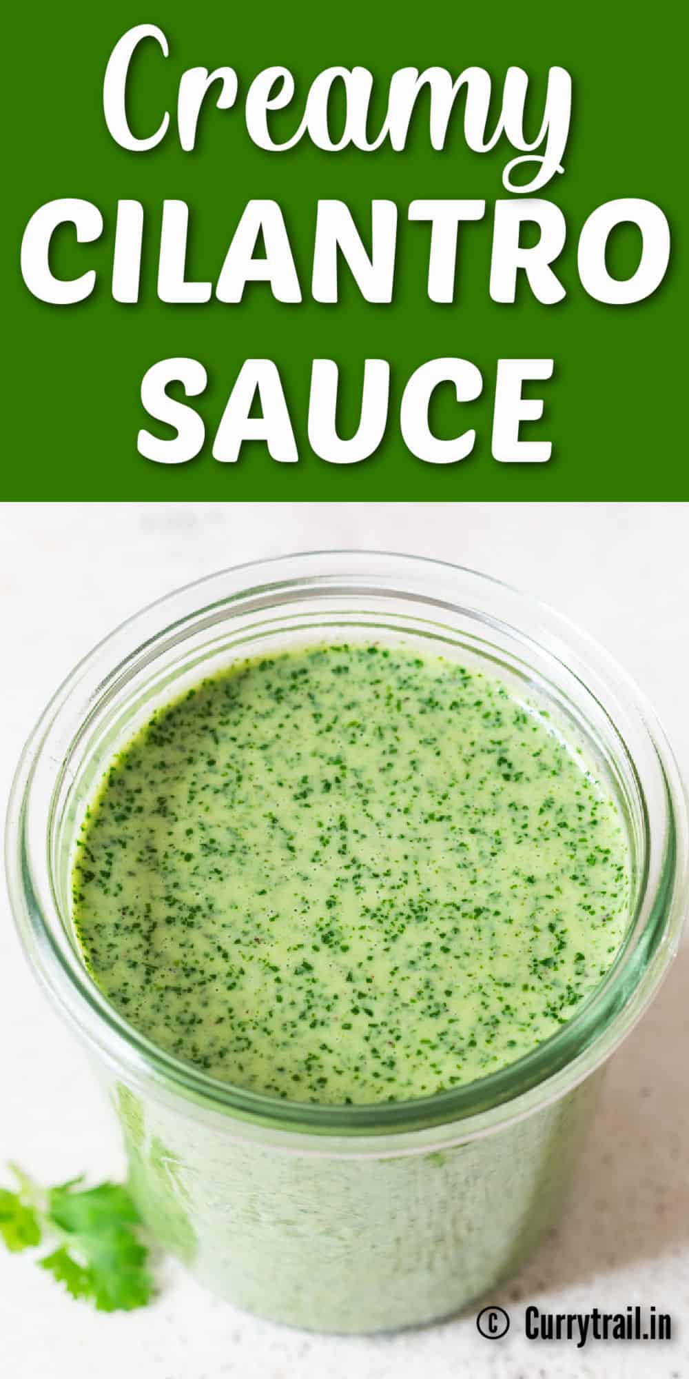 5 Minutes Easy Creamy Cilantro Sauce - CurryTrail