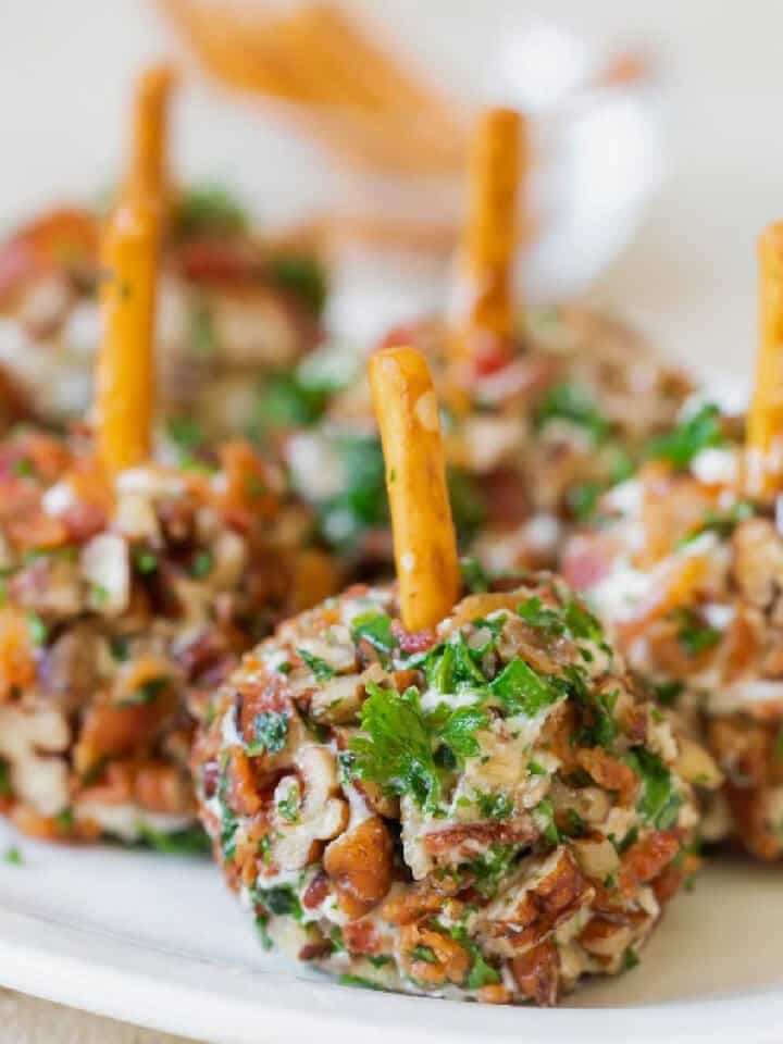 Easy To Make Starters and Appetizers Recipes - Curry Trail