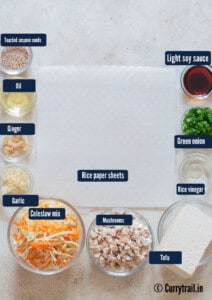 Rice Paper Dumplings- Curry Trail