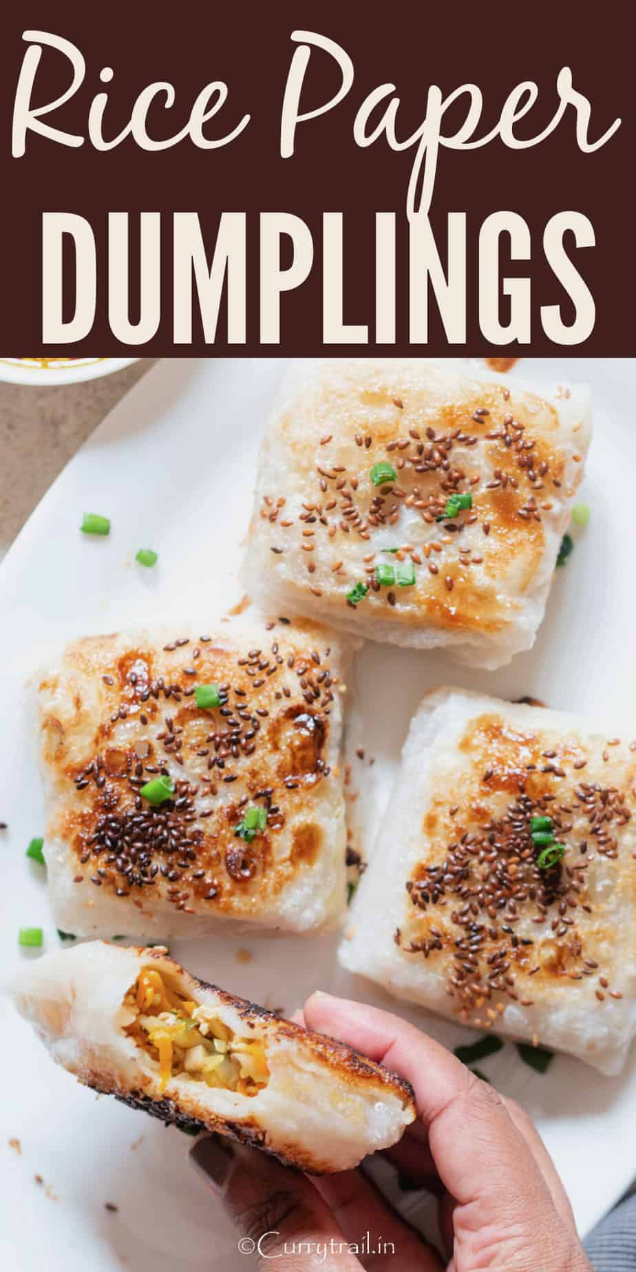 Rice Paper Dumplings- Curry Trail