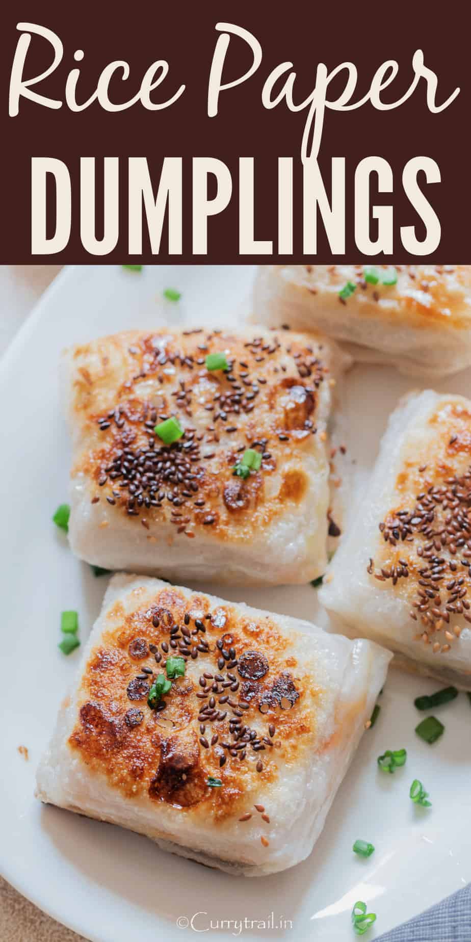 Rice Paper Dumplings- Curry Trail