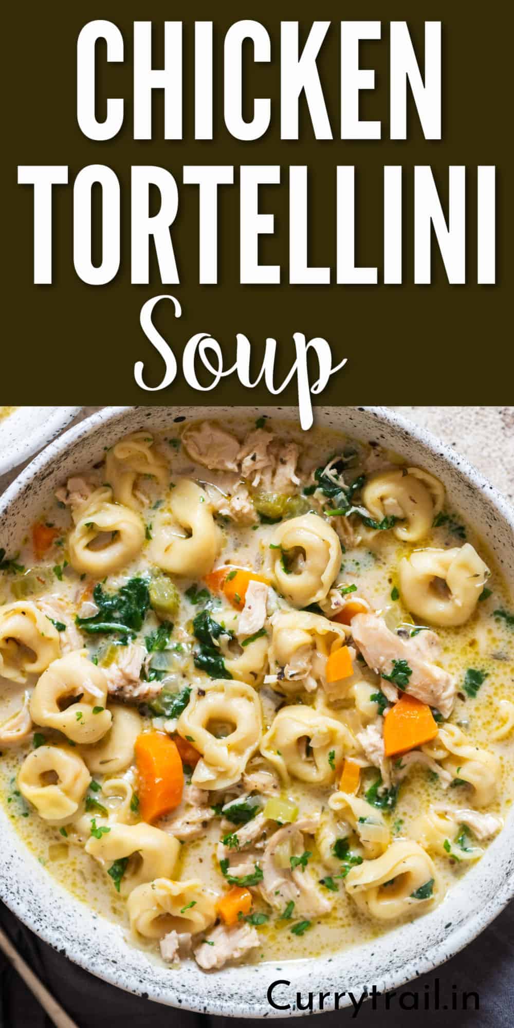 Easy Creamy Chicken Tortellini Soup Curry Trail